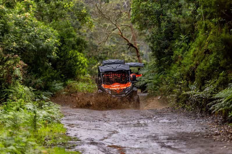 Madeira: OFF-ROAD BUGGY ADVENTURE TO FUNDURAS - What’s Included and What to Bring