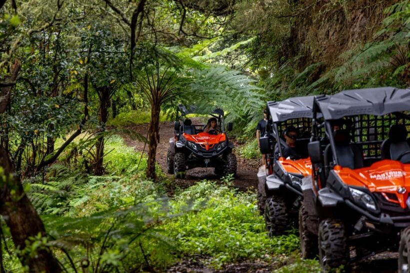 Madeira: OFF-ROAD BUGGY ADVENTURE TO FUNDURAS - Authenticity and Authentic Experiences