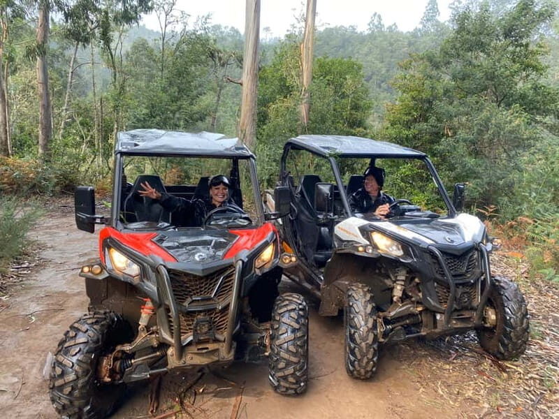 Madeira: Off-Road Buggy Driving Experience - The Experience from Travelers’ Perspectives