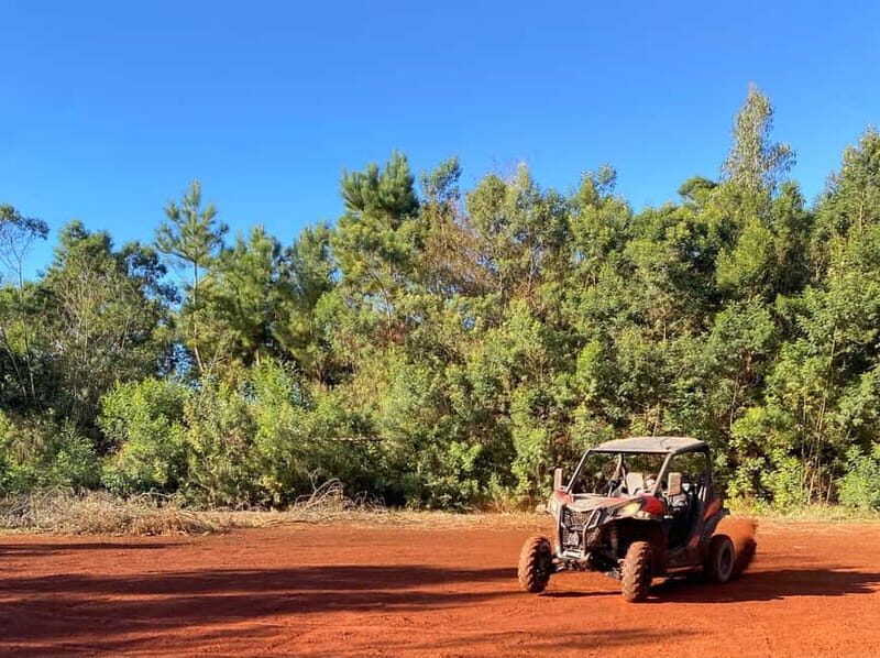 Madeira: Off-Road Buggy Driving Experience - Why This Tour Offers Great Value