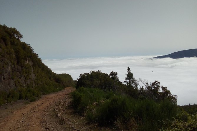 Madeira Off-Road Tours - Accessibility and Health Considerations