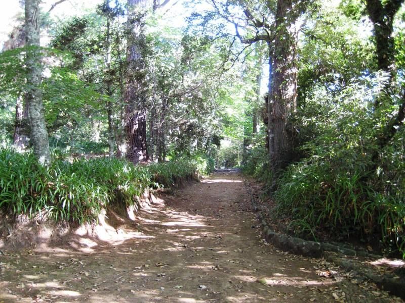 Madeira: Paradise Valley Levada Walk - Who Should Consider This Tour?