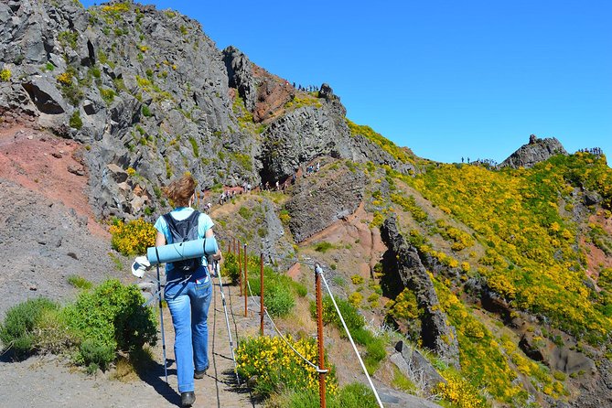 Madeira Peaks - Mountain Walk - The Sum Up: Who Will Love This Tour?