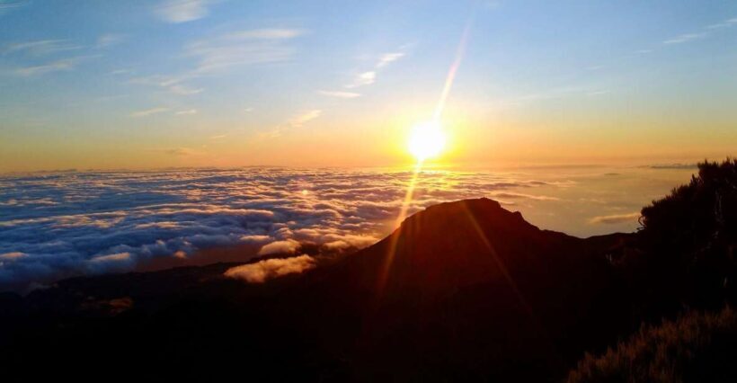 Madeira: Pico Ruivo Guided Sunrise Hike with Hotel Pickup - A Detailed Look at the Pico Ruivo Sunrise Hike