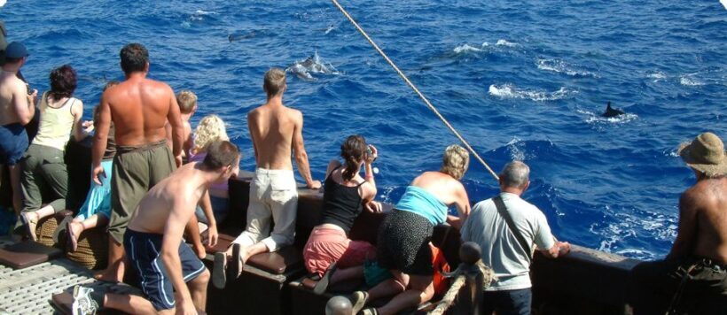 Madeira Pirate Ship: 3-Hour Boat Trip - Key Points