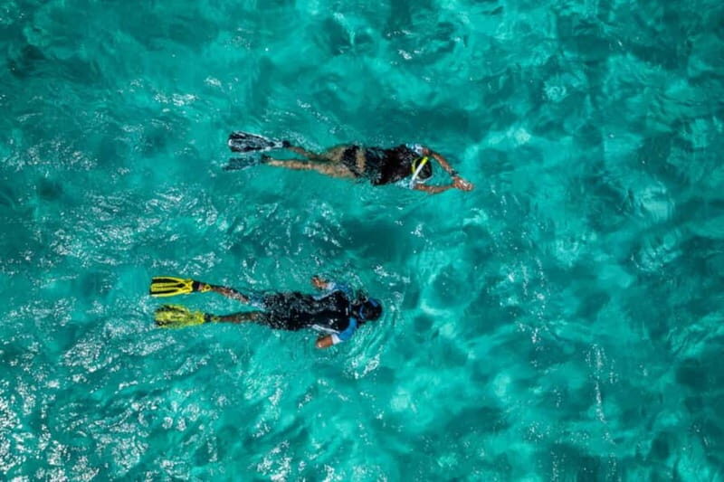 Madeira: Ponta de São Lourenço Snorkeling Boat trip - The Experience: What Youll Actually Do
