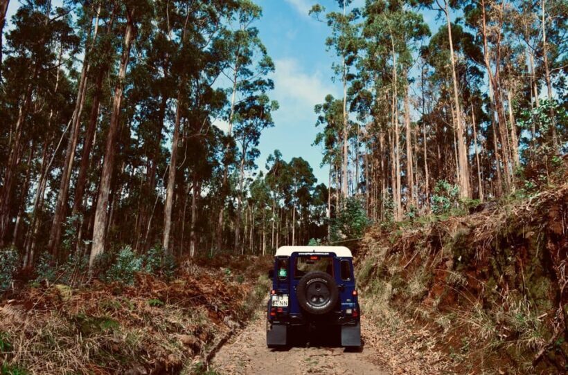 Madeira: Porto Moniz: Wild West Tour: In 4*4 car: Duration 7.5h - Final Thoughts