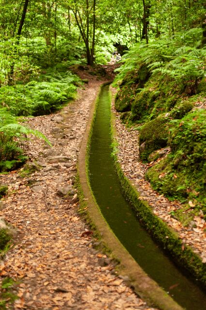 Madeira: PR 18 - Levada do Rei Hike Transfer - Key Points: