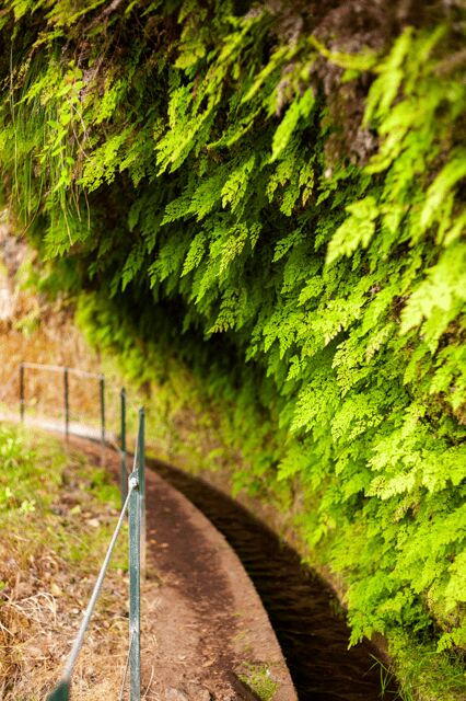 Madeira: PR 18 - Levada do Rei Hike Transfer - Logistics and Practicalities