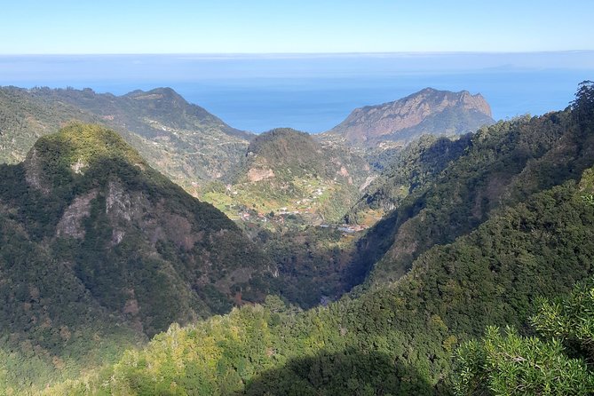 Madeira: Private 1.5-Kilometer Levada Dos Balcões Hike PR11 - Wildlife and Biodiversity