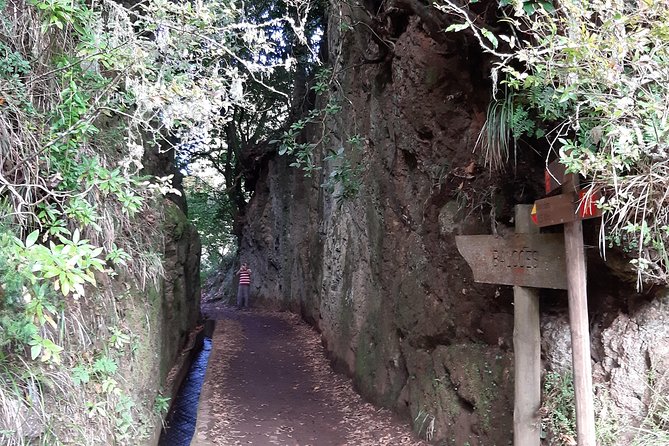 Madeira: Private 1.5-Kilometer Levada Dos Balcões Hike PR11 - Exploring the UNESCO-listed Laurel Forest