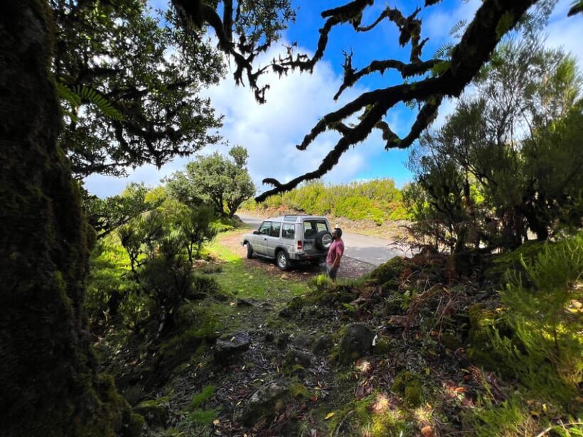 Madeira private 4x4 tour: North-West Coast - An In-Depth Look at the Tour