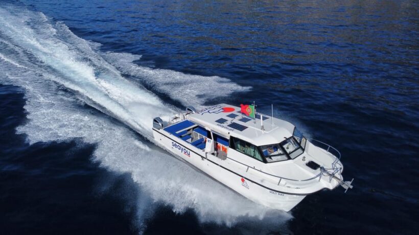 Madeira: Private Cruise to Calheta, Caniçal - Madeira: Private Cruise to Calheta, Caniçal — A Detailed Review