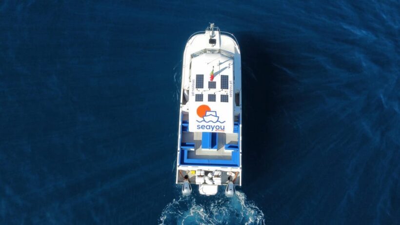 Madeira: Private Cruise to Calheta, Caniçal - An In-Depth Look at the Madeira Private Cruise