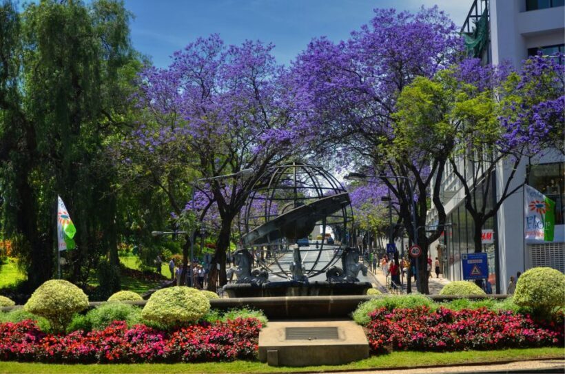 Madeira: Private Funchal City Tour in a Tukxi - FAQ