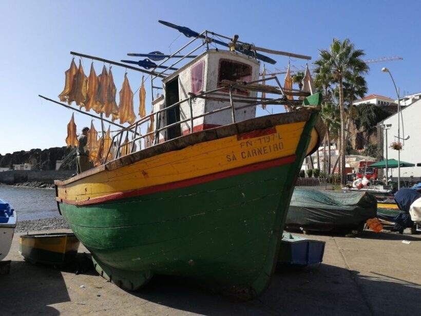 Madeira: Private Guided Cabo Girão Tour - Introduction: A Personal Peek into Madeira’s Coastal Charm