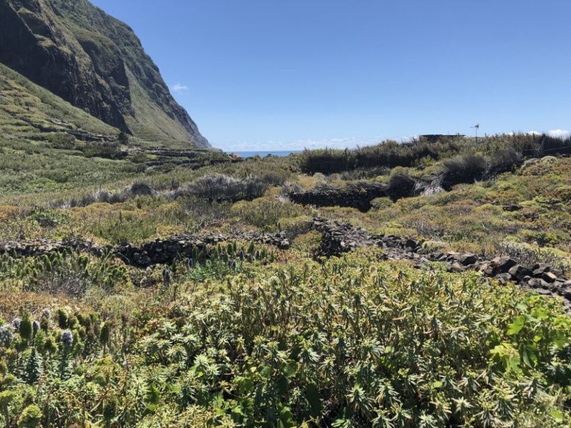 Madeira: Private Guided Half-Day Tour of Northwest Madeira - Pricing and Value