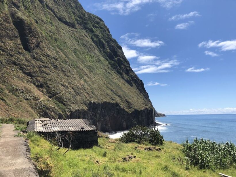 Madeira: Private Guided Half-Day Tour of Northwest Madeira - The Sum Up