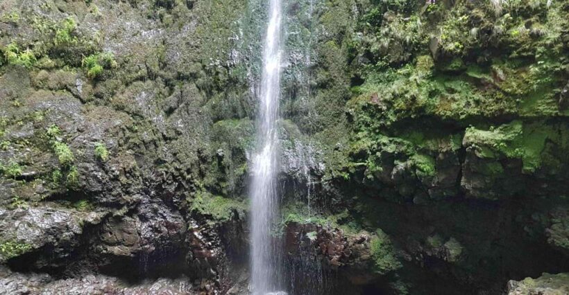 Madeira: Private Guided Levada Caldeirão Verde Walk PR9 - A Deep Dive into the Caldeirão Verde Journey