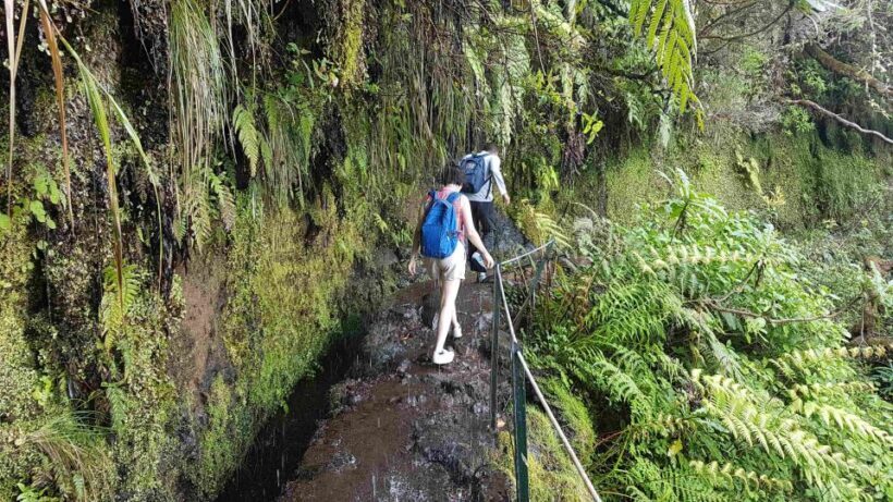 Madeira: Private Guided Levada Caldeirão Verde Walk PR9 - The Itinerary: What You Can Expect