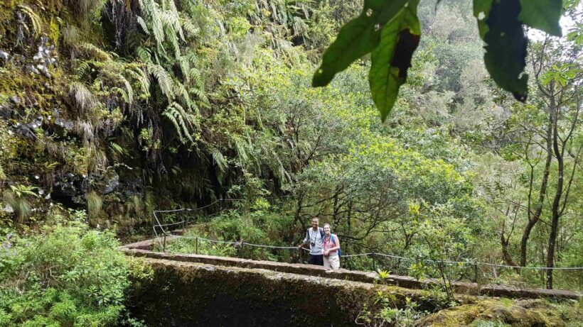 Madeira: Private Guided Levada Caldeirão Verde Walk PR9 - Practical Details: Value and Comfort
