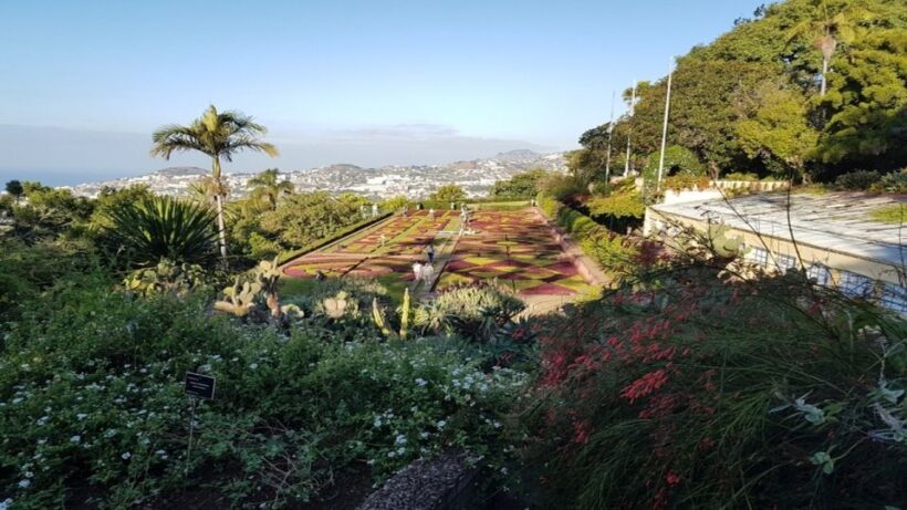 Madeira: Private Half-Day Guided Gardens Tour - An In-Depth Look at the Garden Tour Experience