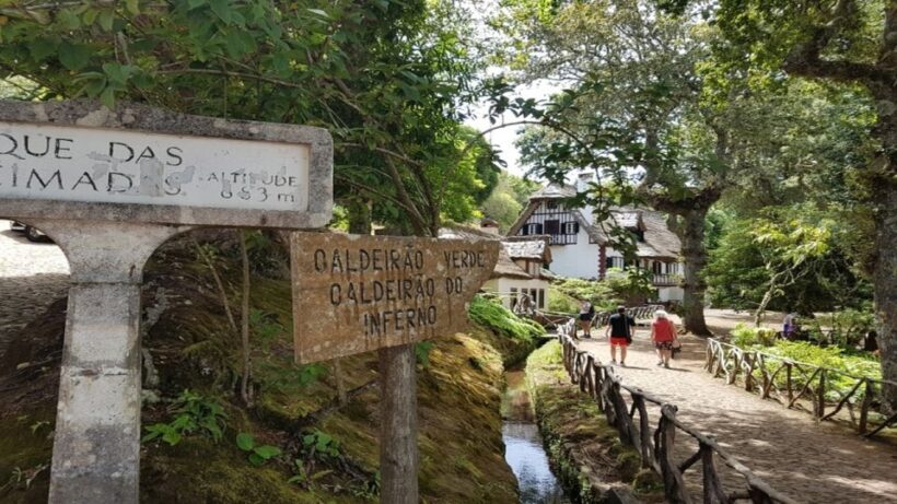 Madeira: Private Half-Day North East Island Tour - Frequently Asked Questions