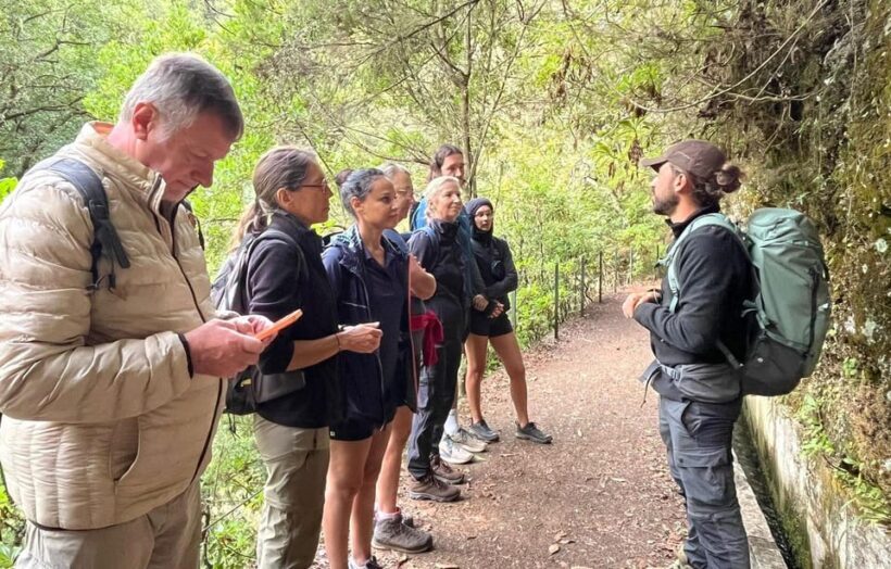 Madeira: Private Levada/Hike Experience with a Local Guide - Why We Think This Tour Is a Great Value