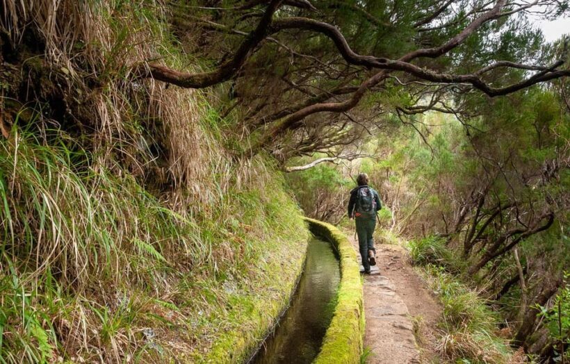 Madeira: Private Levada/Hike Experience with a Local Guide - Final Thoughts