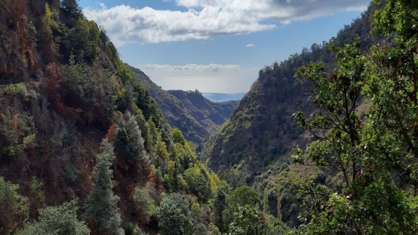 Madeira: Private Moinhos Levada Nova Walk Ponta do Sol - FAQs