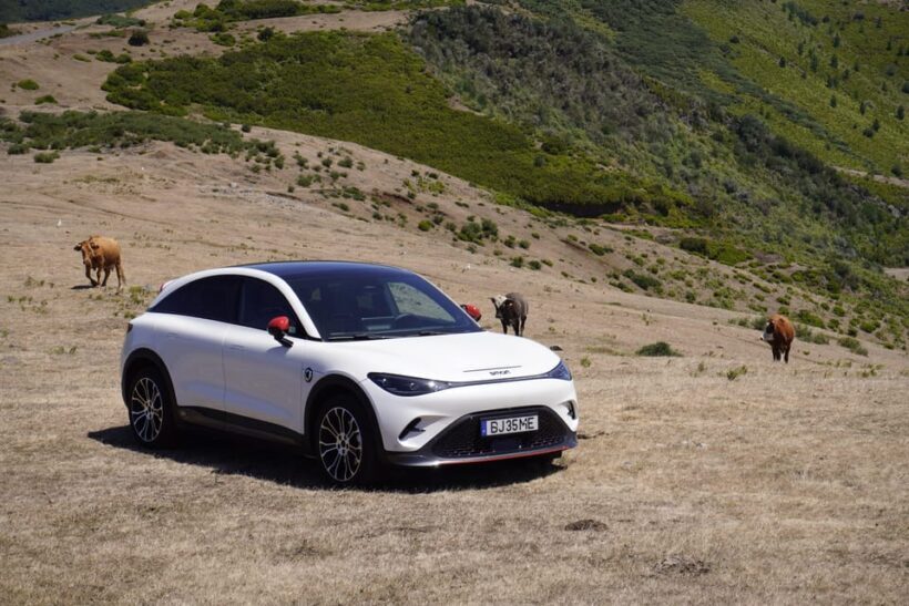 Madeira Private Premium Eco-Friendly Tour in Electric Car - Final Thoughts