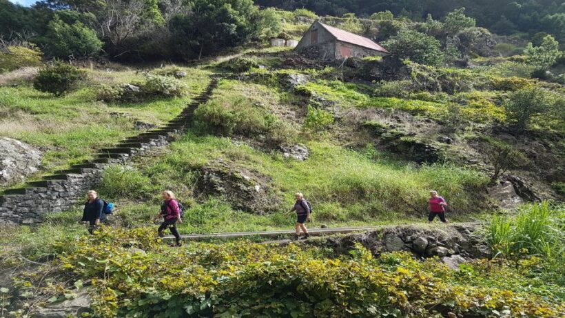 Madeira: Private Vereda do Larano Hike - An In-Depth Look at the Vereda do Larano Hike