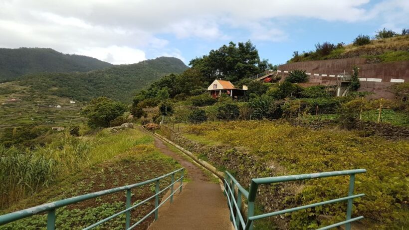 Madeira: Private Vereda do Larano Hike - Who Should Consider This Tour?
