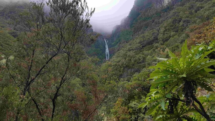 Madeira: Private Walking Tour of Levada das 25 Fontes PR6 - An Overview of the Experience