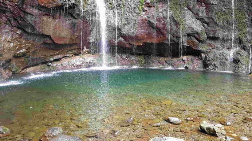 Madeira: Private Walking Tour of Levada das 25 Fontes PR6 - The Value of This Tour