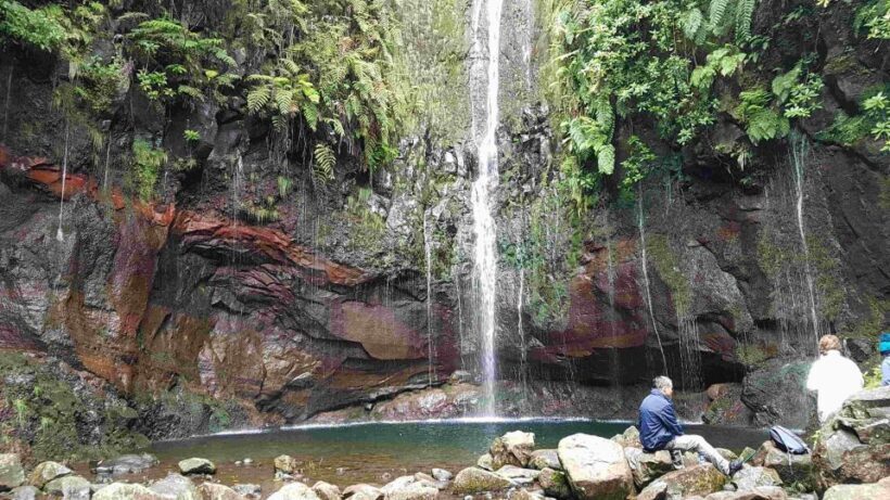 Madeira: Private Walking Tour of Levada das 25 Fontes PR6 - Who Should Consider This Experience?
