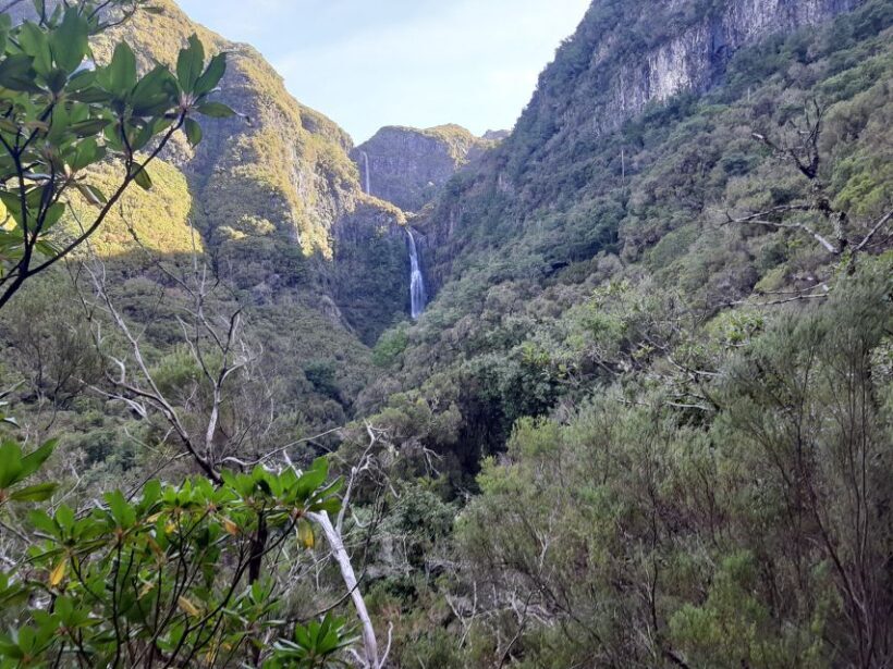 Madeira: Private Walking Tour of Levada das 25 Fontes PR6 - The Sum Up
