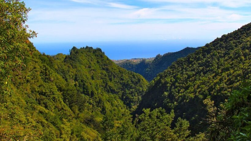 Madeira: Queimadas, Caldeirão Verde and Levada Walk - An Overview of Madeira’s Levada Adventure