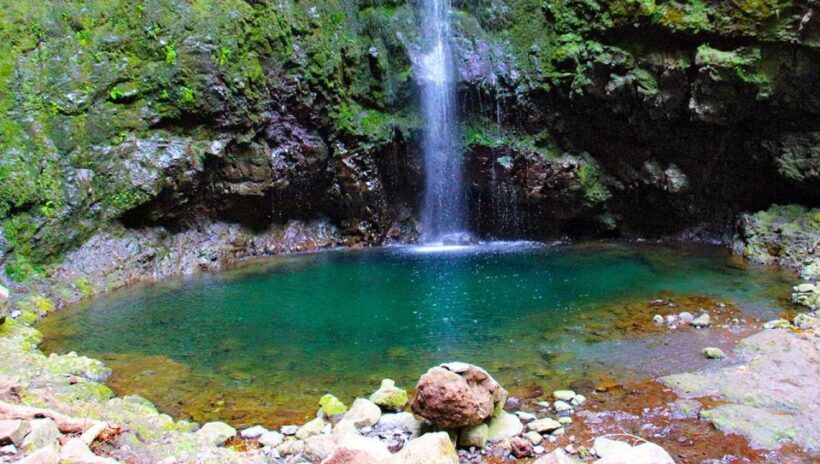 Madeira: Queimadas, Caldeirão Verde and Levada Walk - Detailed Itinerary and Highlights
