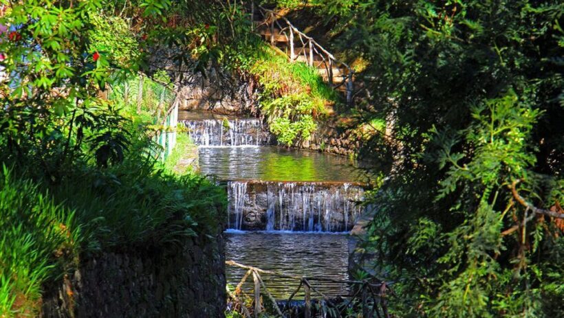 Madeira: Queimadas, Caldeirão Verde and Levada Walk - The Sum Up: Is This Tour Right for You?