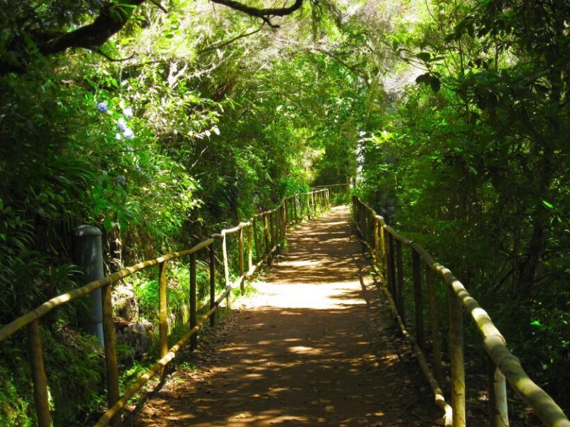 Madeira: Queimadas, Caldeirão Verde and Levada Walk - FAQ