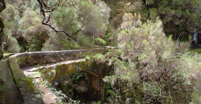 Madeira: Rabaçal Valleys 3-Hour Guided Walk - Who Is This Tour Best For?