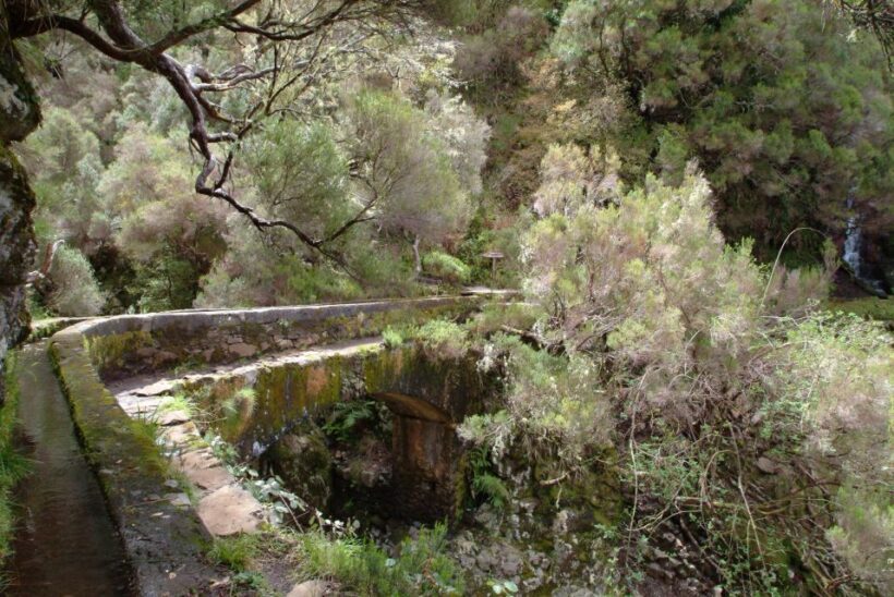 Madeira: Rabaçal Valleys 3-Hour Guided Walk - FAQ