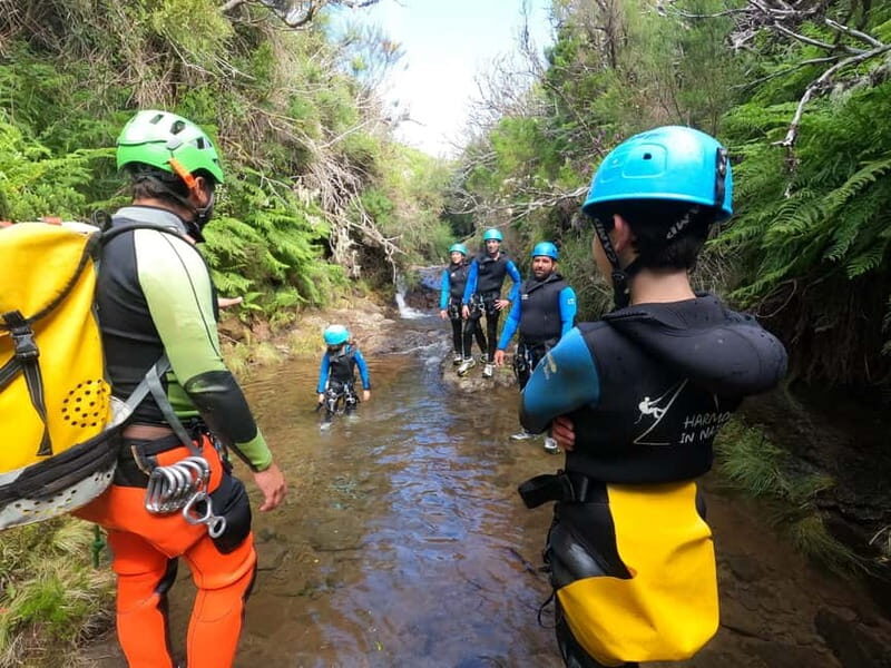 Madeira : Ribeira das Cales Canyoning (Level 1) - An Authentic Taste of Madeira’s Nature