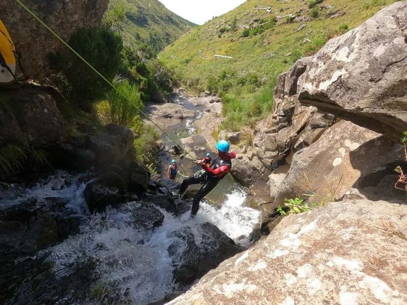 Madeira : Ribeira das Cales Canyoning (Level 1) - The Sum Up: Why This Tour is a Solid Choice