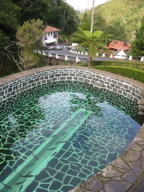 Madeira: Ribeiro Frio to Portela 4-Hour Guided Walk - An In-Depth Look at the Ribeiro Frio to Portela Guided Walk