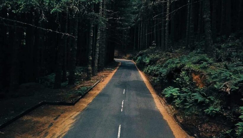Madeira: Santana; Discover the enchanting East: Duration 7,5h - Why This Tour Stands Out