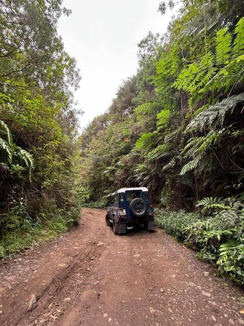 Madeira: Santana; Discover the enchanting East: Duration 7,5h - The Sum Up