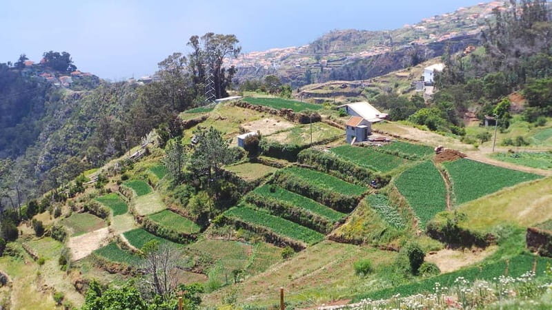 Madeira: Santana Jeep Safari and Balções Levada Walk - FAQs