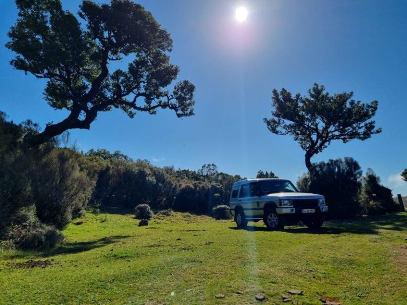 Madeira : SkyWalk, Fanal, Natural Pools 4x4 Jeep Tour - Final Thoughts